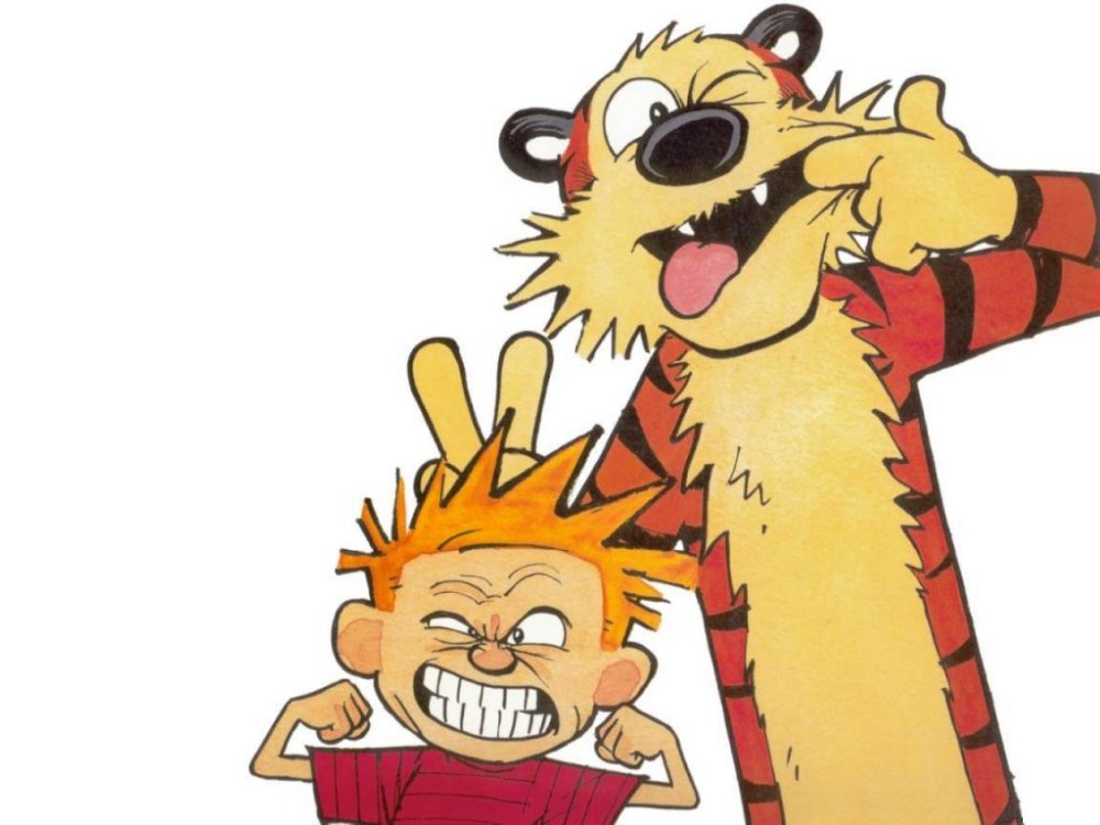 Dear Mr. Watterson (2013) – Joel Allen Schroeder – The Mind Reels