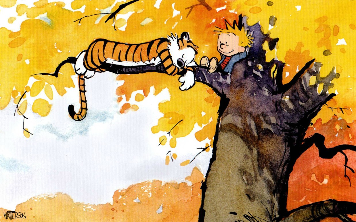 Dear Mr. Watterson (2013) – Joel Allen Schroeder – The Mind Reels